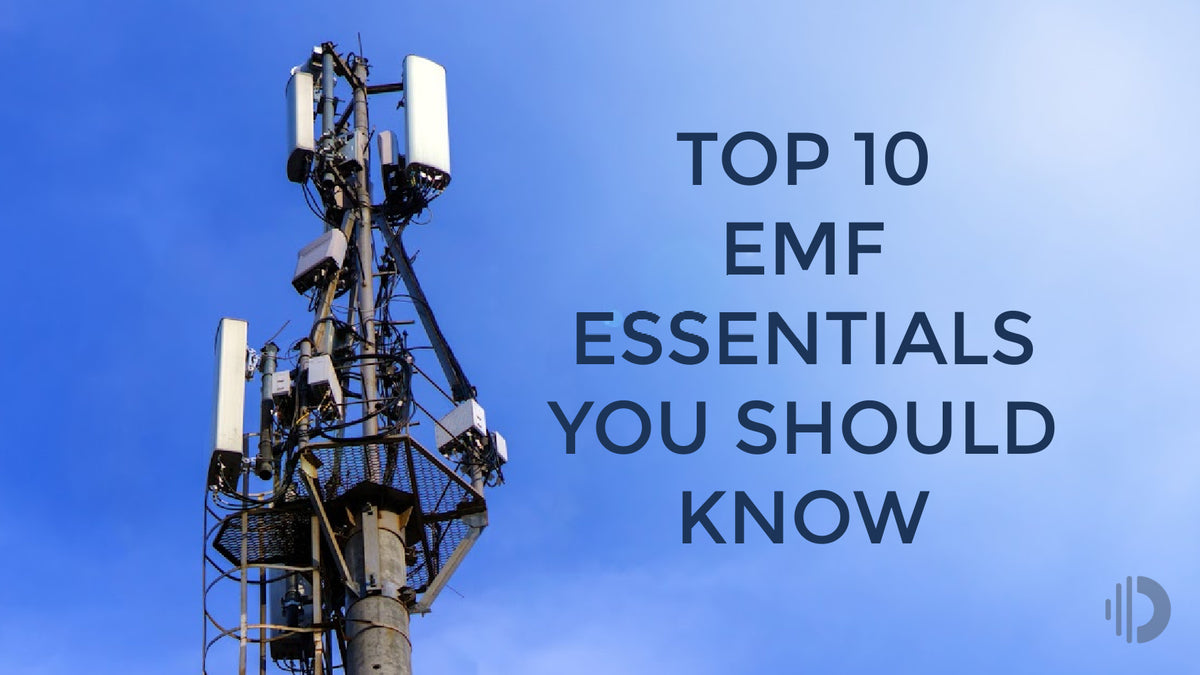 The Top 10 EMF Essentials You Need to Know | Omnia Balance – Omnia ...